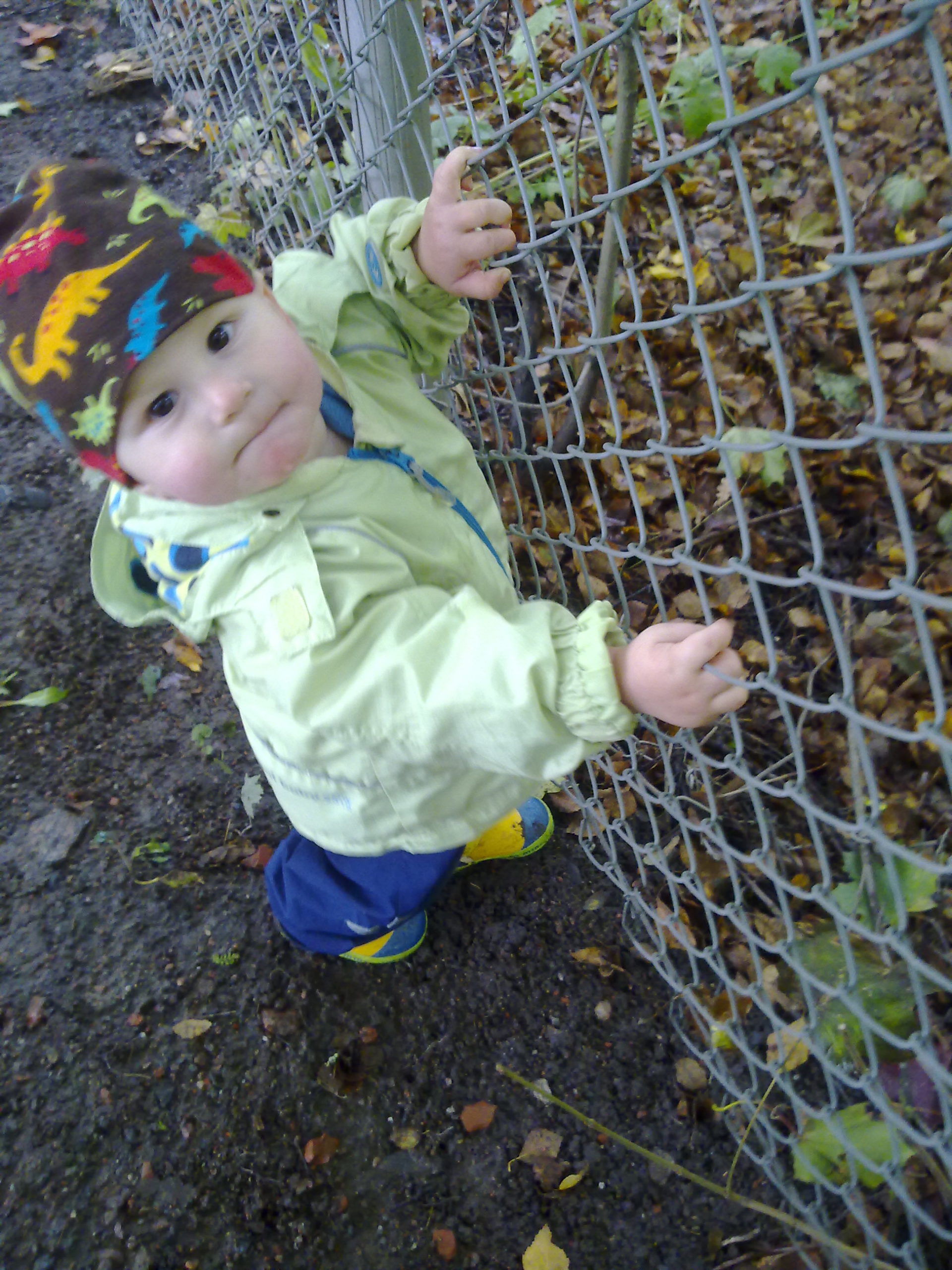 Ekoisi: Kaadetaan turhat aidat sisäpihoilta - Leo